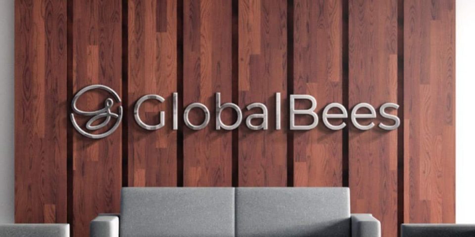 Công ty khởi nghiệp 9 tháng tuổi GlobalBees trở thành kỳ lân mới nhất ...